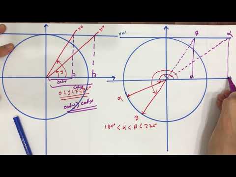 TRİGONOMETRİ - 23 (Birim Çember Yorum soruları)