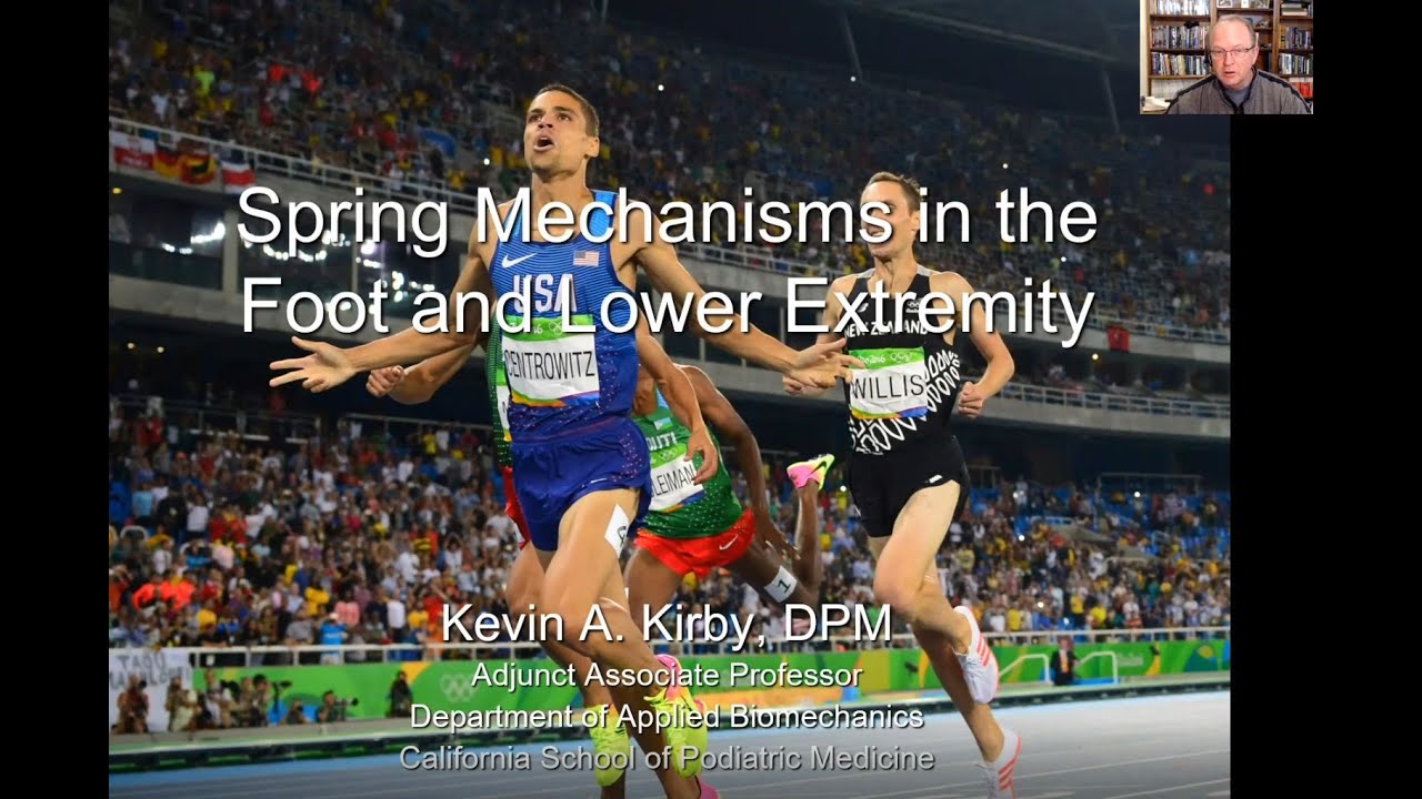 Spring Mechanisms in the Foot and Lower Extremity - YouTube