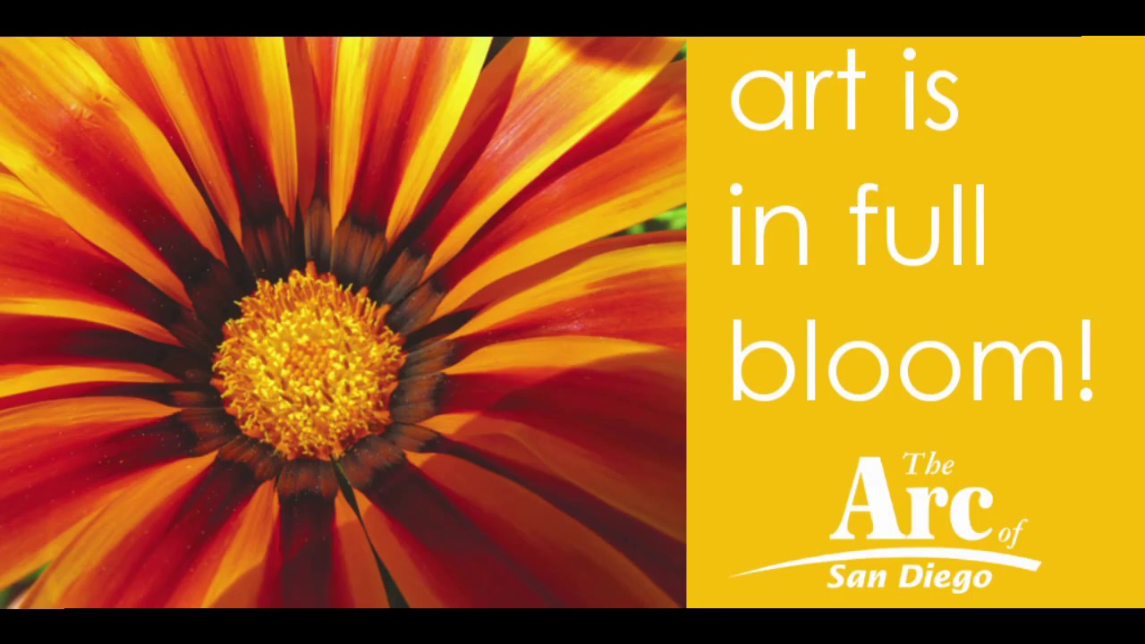 Sulpizio Family Center Photography Art Club Show - YouTube