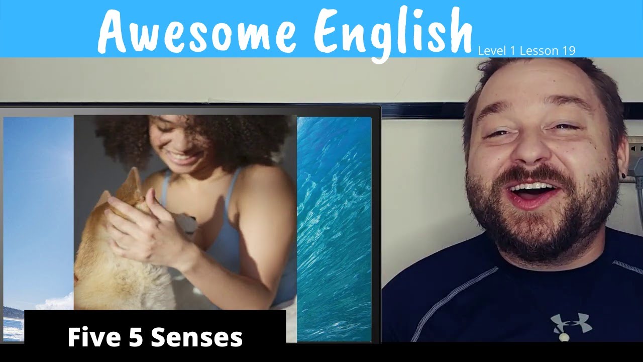 The 5 Five Senses Used to Describe Nouns in English | Awesome English ...