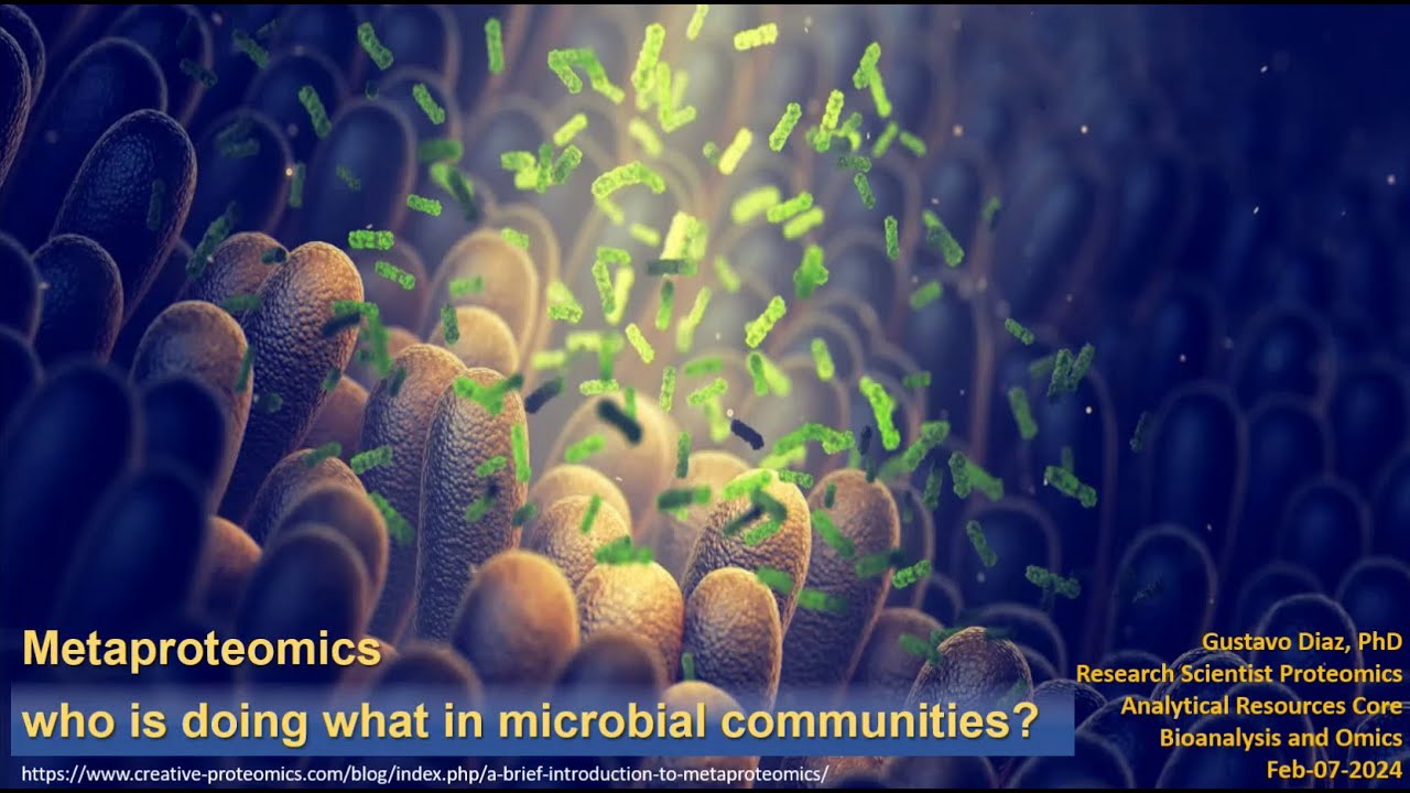 ARC Seminar Series: Metaproteomics - Who is doing what in microbial ...