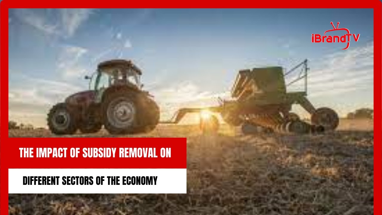 The Impact Of Subsidy Removal On Different Sectors Of The Economy - YouTube