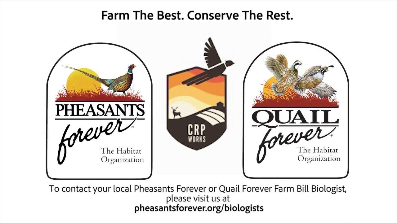 Pheasants Forever Logo