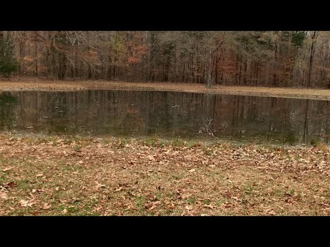 THIS POND TURNS BLOOD RED DURING THE CIVIL WAR BATTLE( BLOODY POND ...