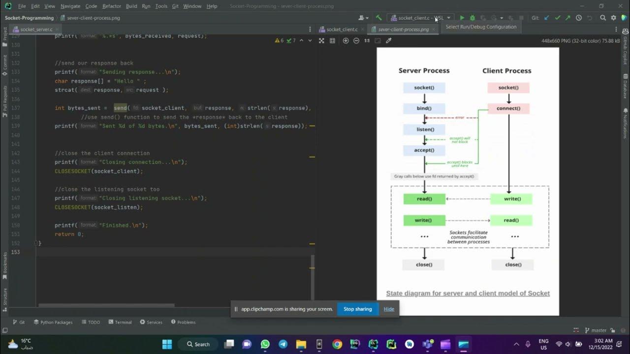 Socket programming in c (with code) ازاى ابرمج سوكت سيرفر بلغه السى وابعت كلامك ما بينهم - YouTube