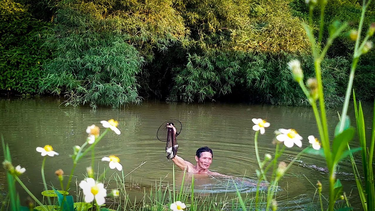 Amazing! Catching Fish In River With Fishing Net / Survival Skills ...