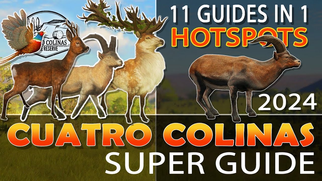 Cuatro Colinas HOTSPOT SUPER GUIDE 2024/25 (Updated) - Call of the Wild ...