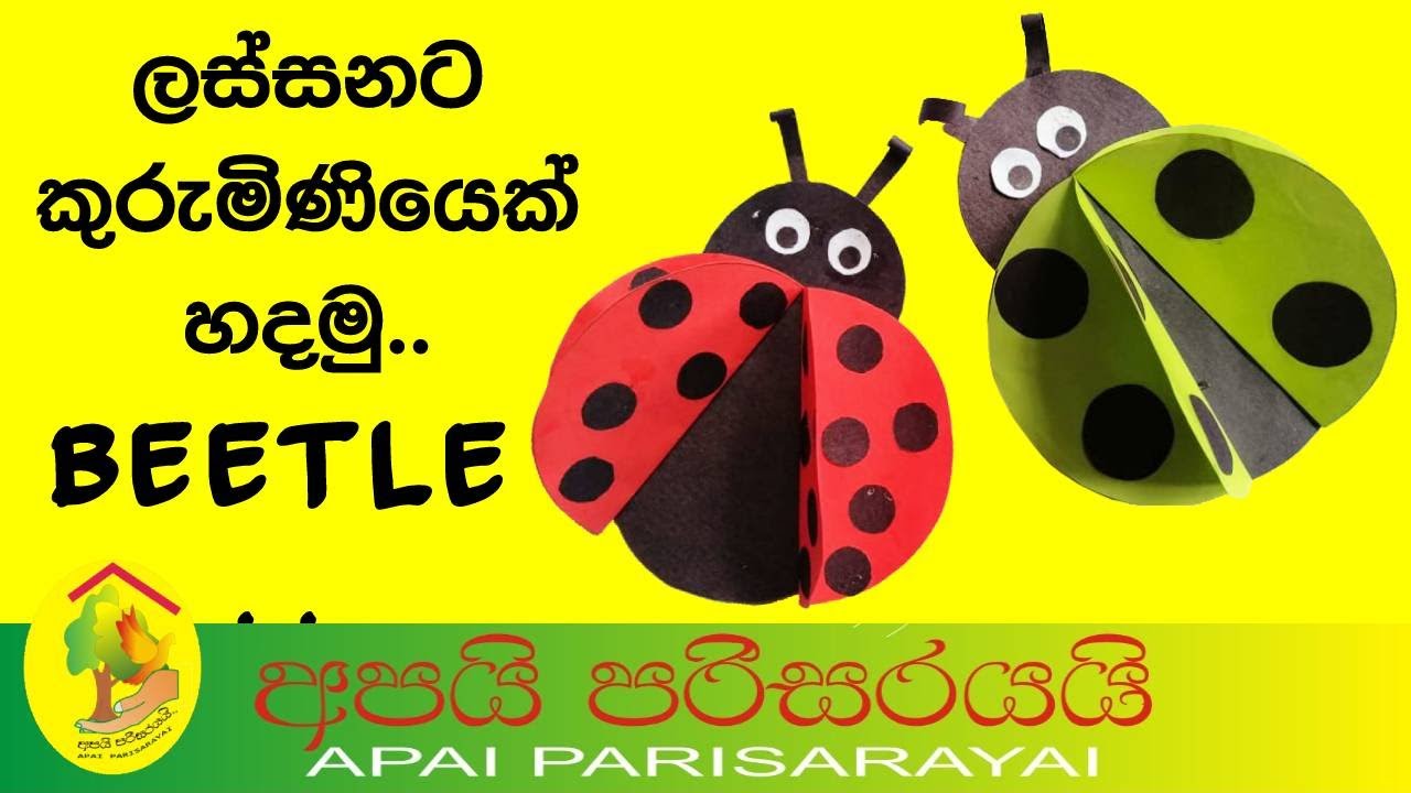ලස්සනට කුරුමිණියෙක් හදමු | lassanata kuruminiya hadamu | #Beetle |# ...