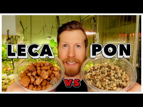 PON vs LECA vs PERLITE vs STRATUM  || Semi Hydro Media Comparison