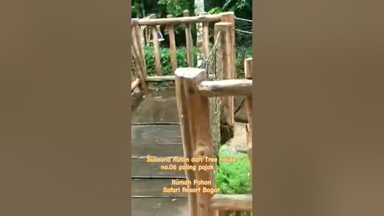 Berani? Sensasi suasana terpencil di Tree House Safari Resort paling pojok tepi hutan pangrango ...