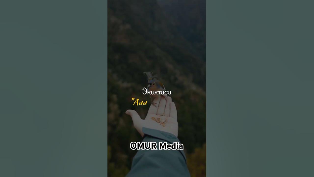 УСТАЗ ЧУБАК АЖЫ ЖАЛИЛОВ #omurmedia #rek #bayan #дуа #насаатмедиа #устаздар - YouTube