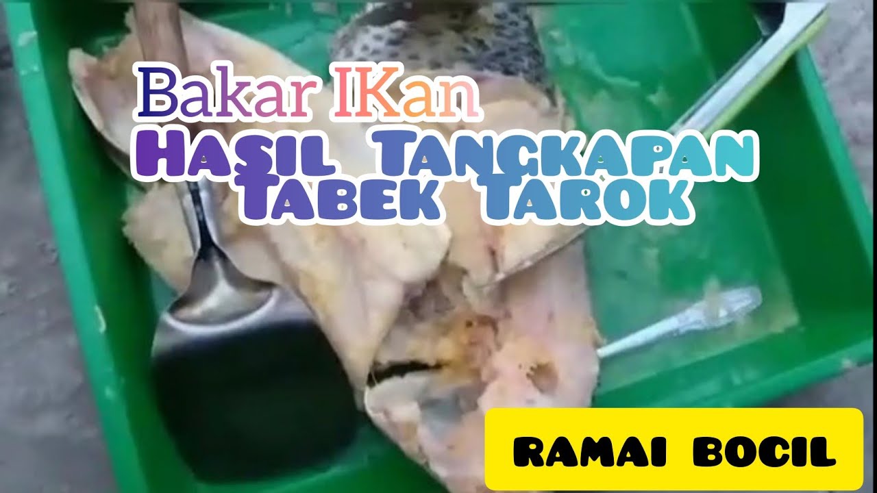 Bakar Ikan Hasil Nangkap di Tabek Tarok | Rame prajuritnya - YouTube