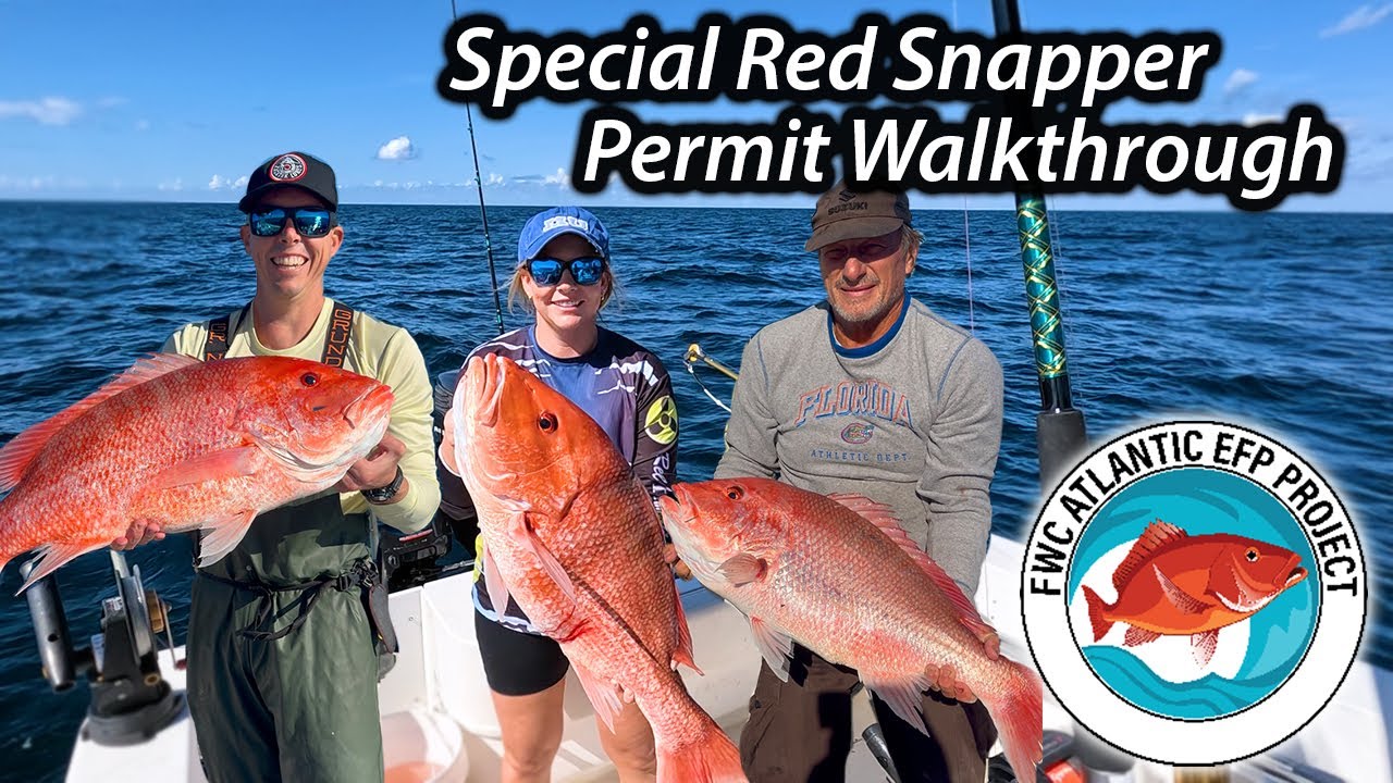 What to Do After Being Selected for FWC’s Atlantic Red Snapper Exempted ...
