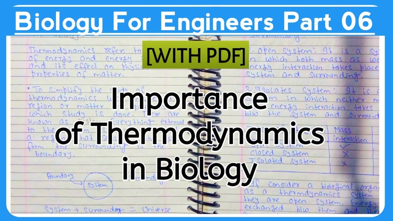Importance of Thermodynamics in Biology || Laws of Thermodynamics in ...