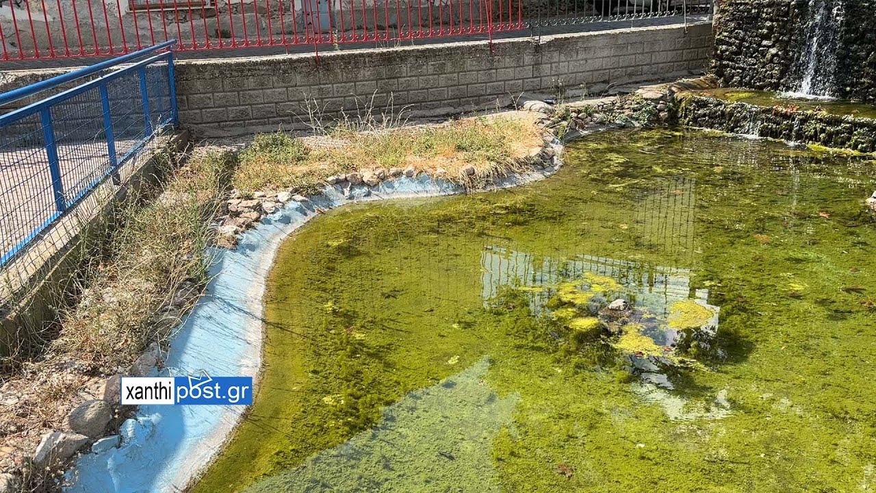 ΞΑΝΘΗ : ΤΟ ΠΑΡΚΟ ΜΕ ΤΑ ΠΑΠΑΚΙΑ … «ΑΛΛΙΩΣ» - ΕΣΤΙΑ ΜΟΛΥΝΣΗΣ Η ΛΙΜΝΗ ...