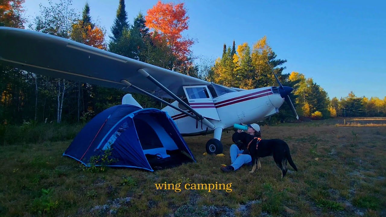 vintage airplane wing camping with my dog (trip two, solo female ...