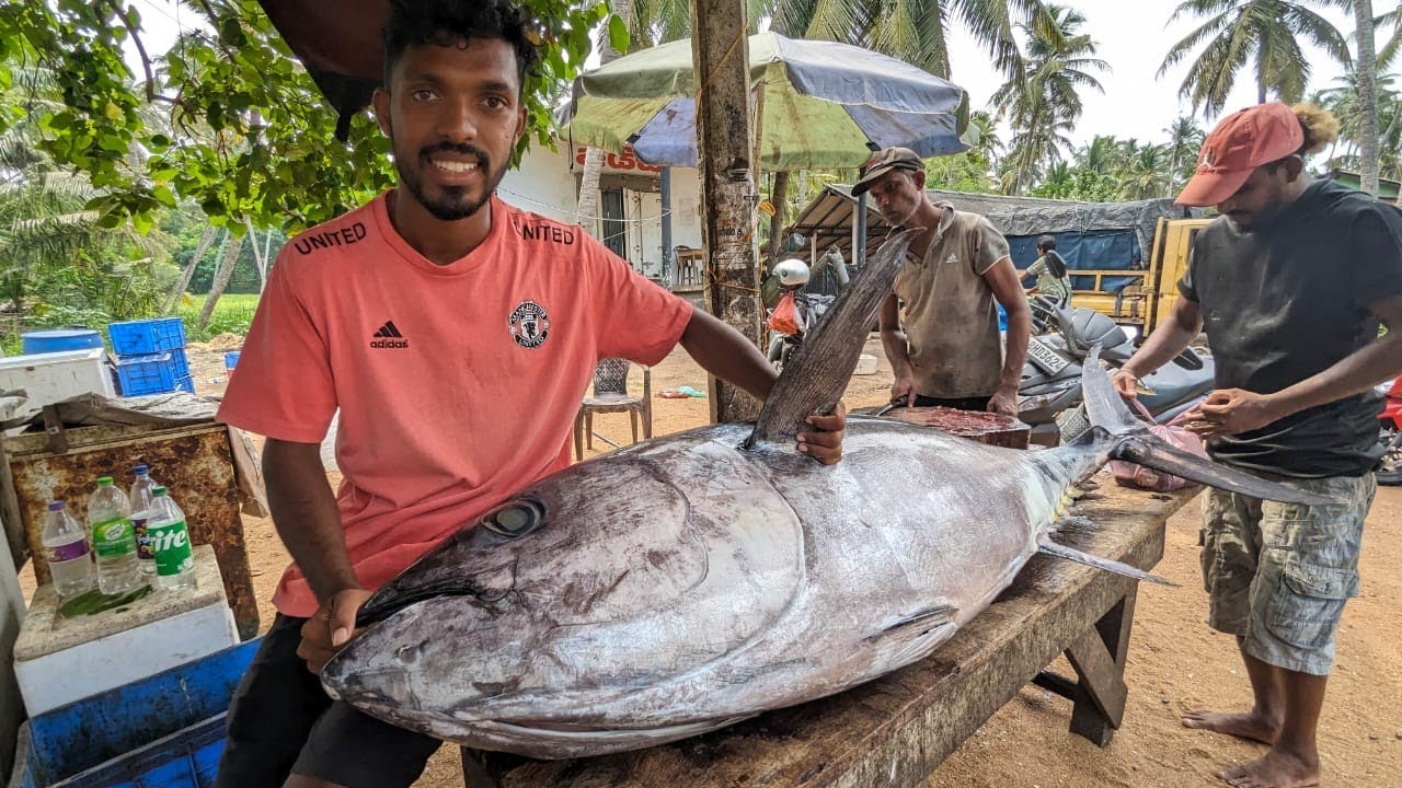 Amazing!! 119 Kg Big Tuna Fish Market And Cutting Skills In Sri Lankan ...