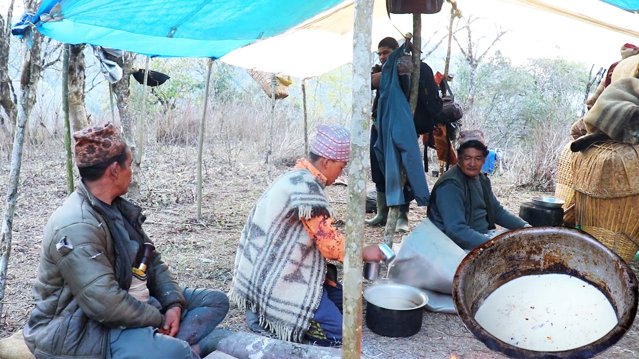 open kitchen in the jungle of shepherd people || shepherd life of Nepal ...