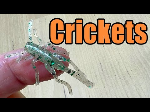 Panfish Cricket Soft Plastic Fishing Bait - YouTube