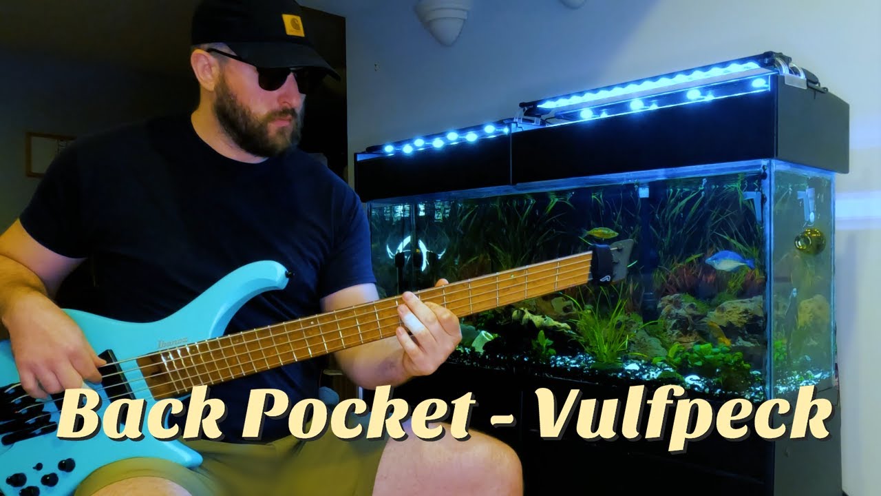 Back Pocket - Vulfpeck Cover || Bass Progression: 348 Hours - YouTube