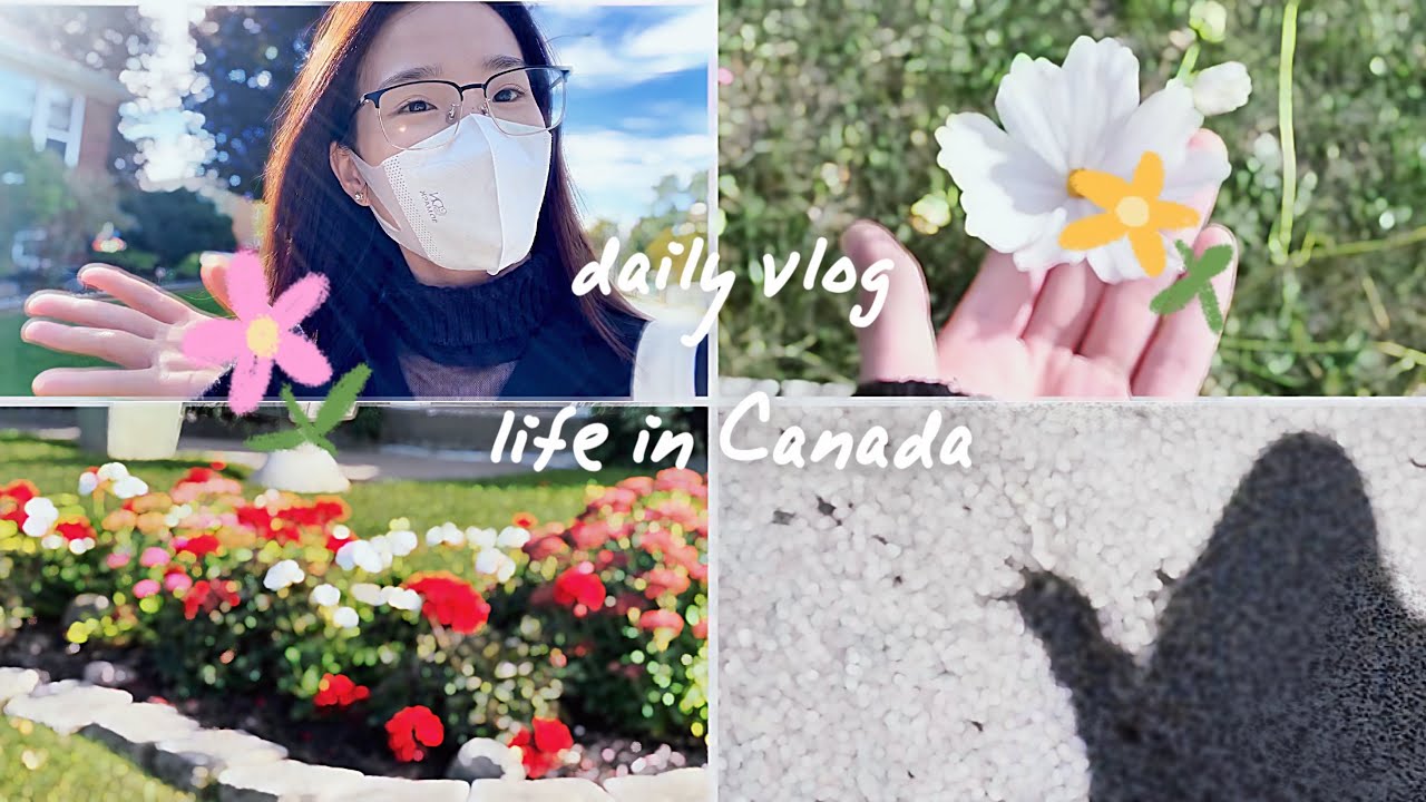 #1 Daily vlog | Hello Youtube, Say hi to all youtube friends, daily ...