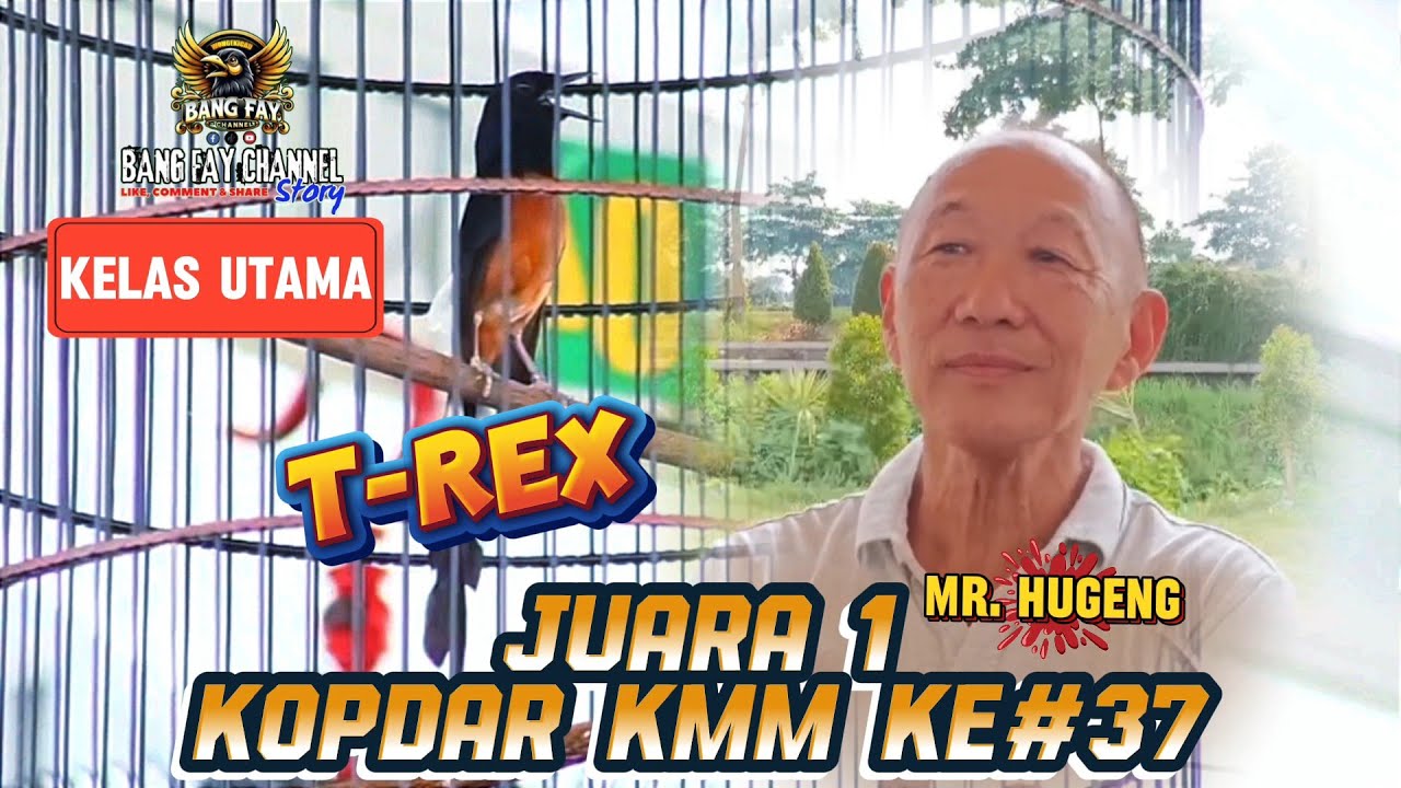 KELAS UTAMA KOPDAR KMM #37 JADI DEBUTAN SENGIT‼️ MB T-REX MILIK MR ...