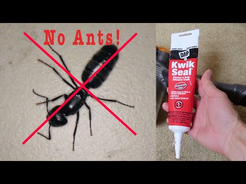 How To Stop Ants From Coming In The Window Screen
