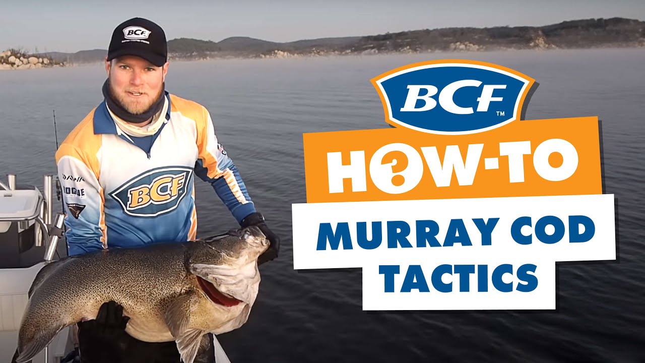 Fishing Tactics to Catch Murray Cod - YouTube
