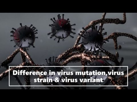 What is virus mutation | virus strain | virus variant - YouTube
