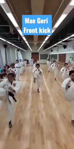 Mae Geri/Front kick #karate #shortvideo - YouTube