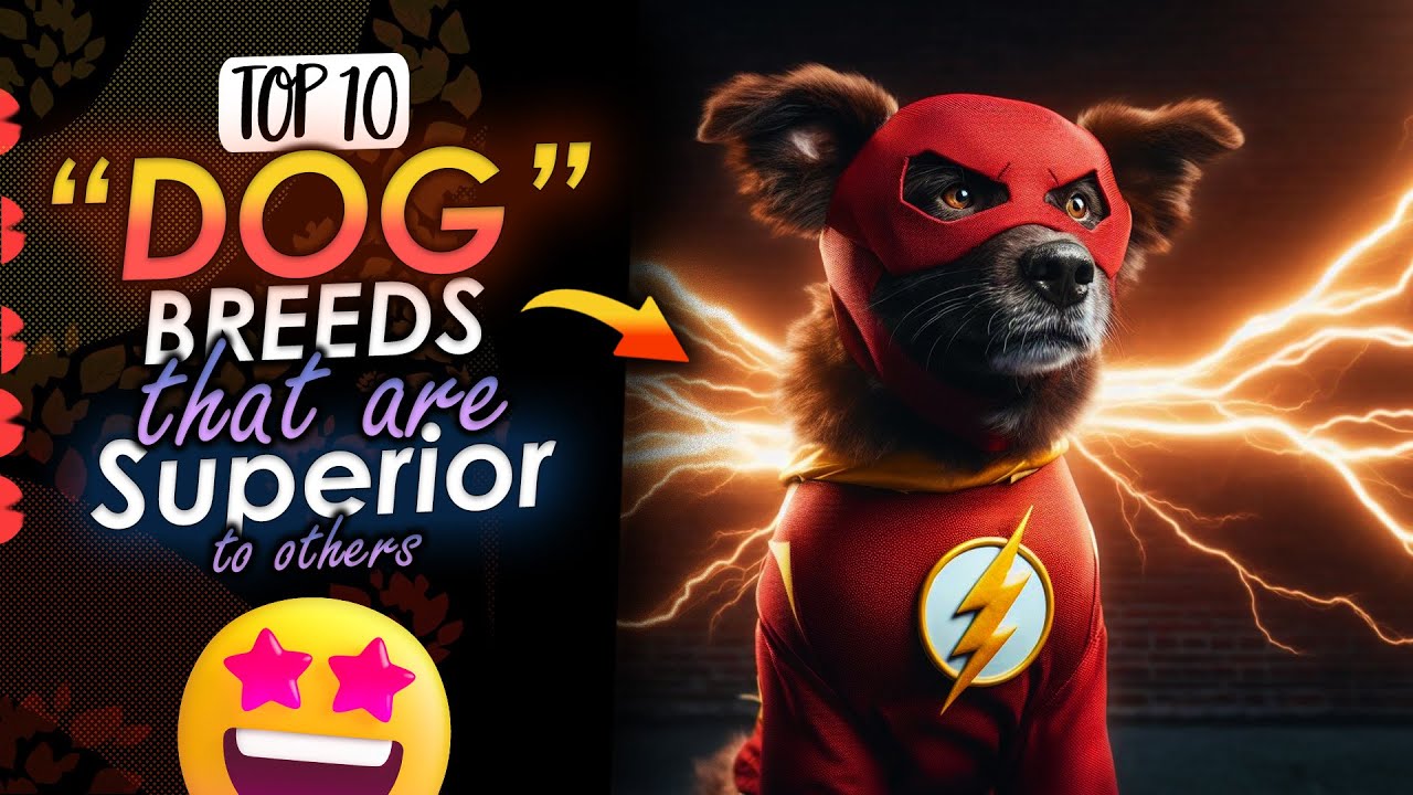 TOP 10 Dog Breeds those are superior to every other - YouTube