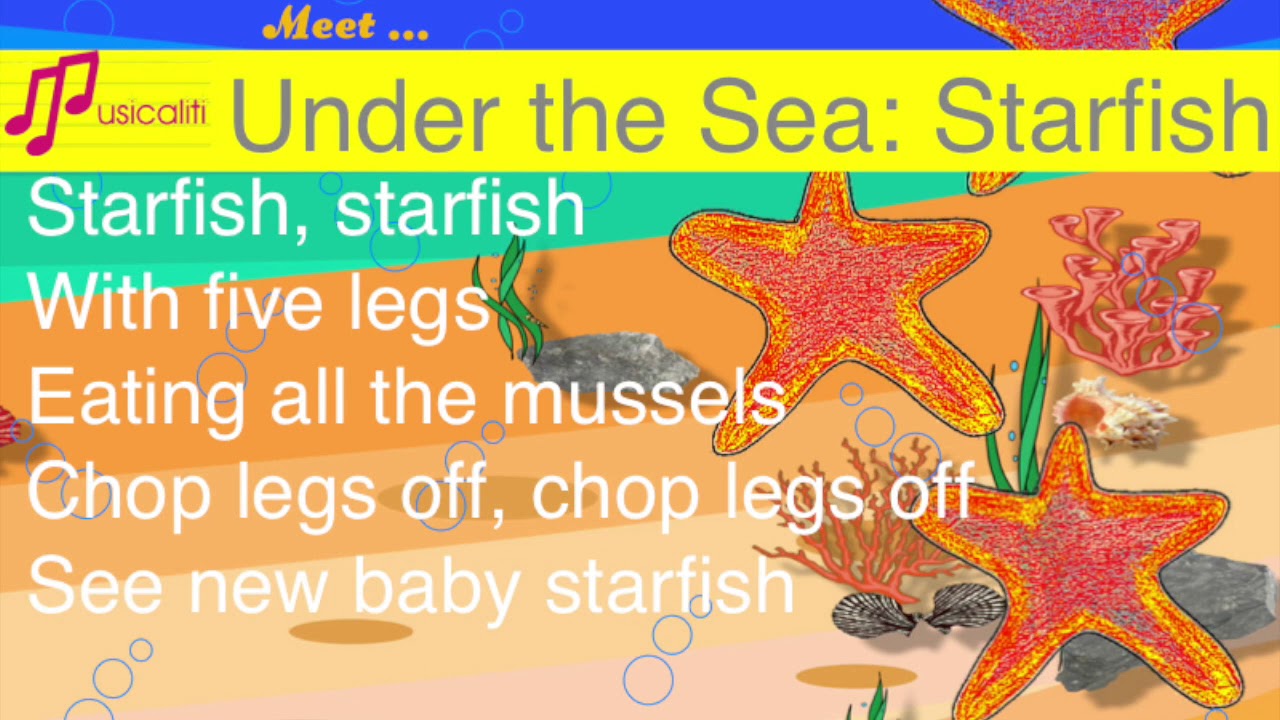 Starfish - YouTube Music
