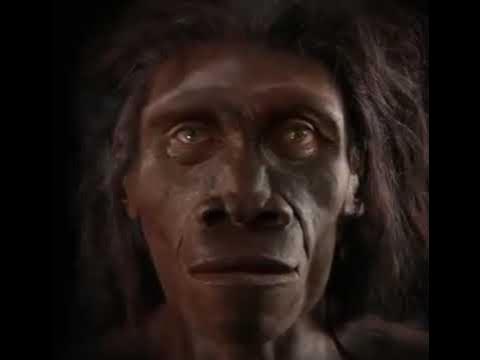 Human Evolution Animated Video - YouTube