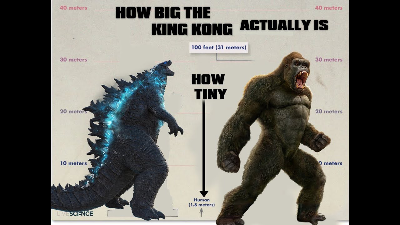 Actual Size Comparison between Human and King Kong - YouTube