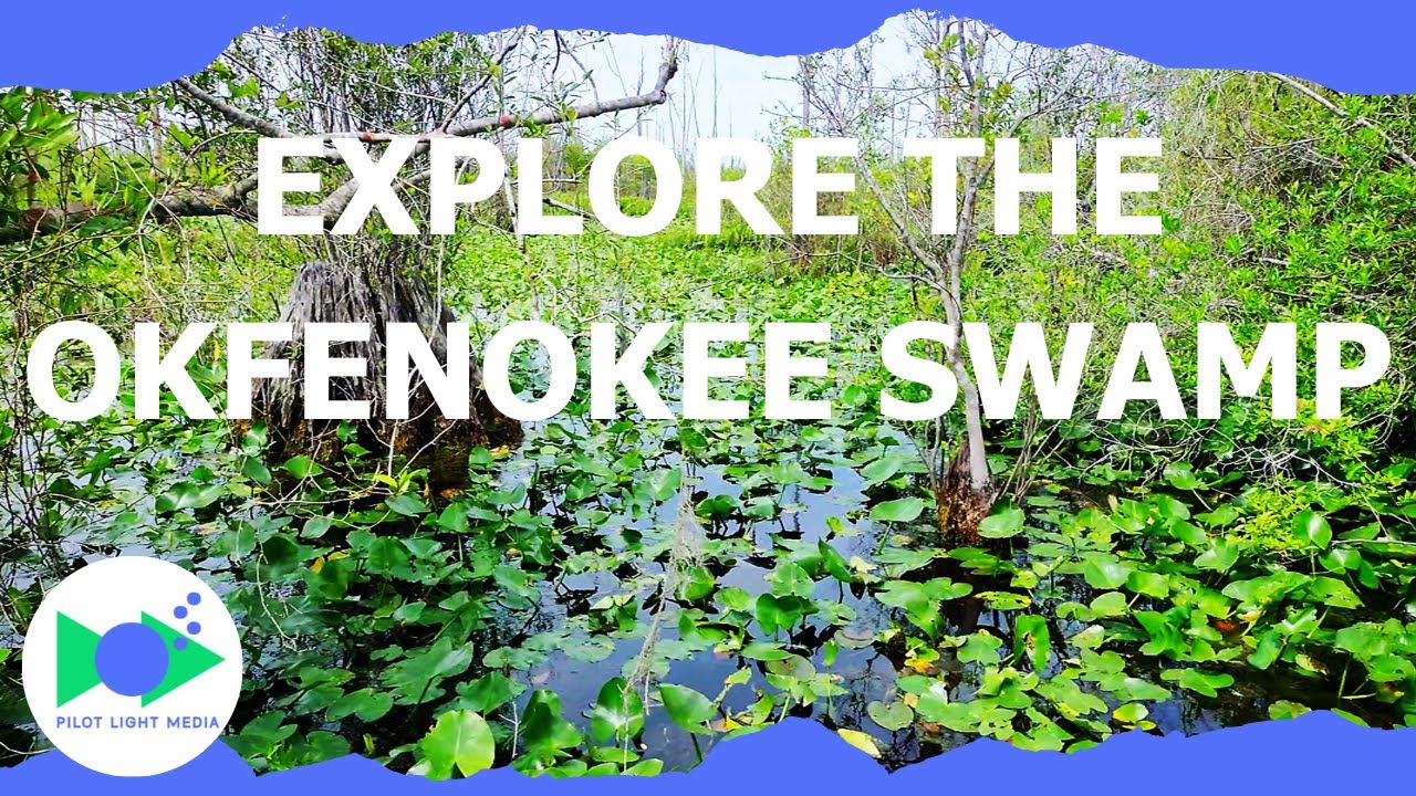 Explore the Okefenokee Swamp - YouTube