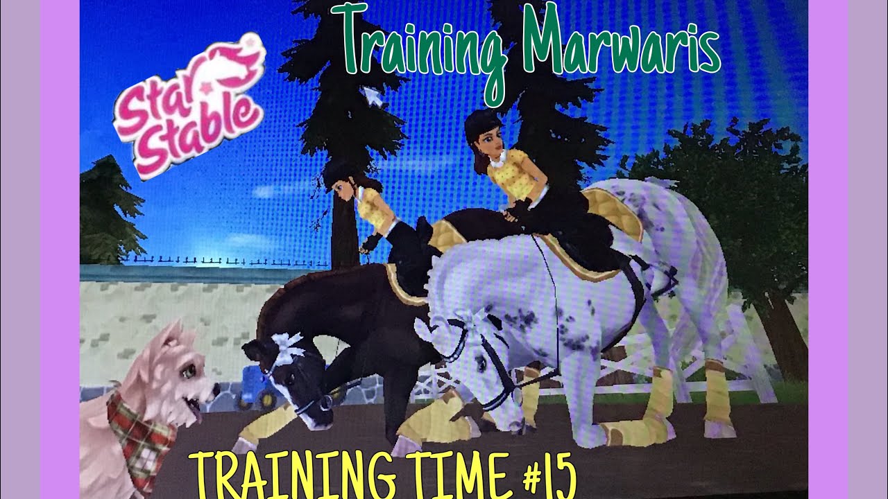 TRAINING TIME #15 | Training Marwaris | SSO | Grokett Twins - YouTube