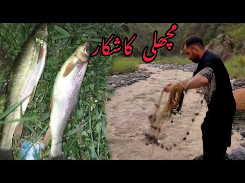Fishing for snow trout In Pakistan | Trout fishing in Pakistan - YouTube