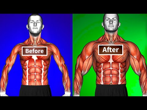 Workout At Home 10 Min Effective Exercises