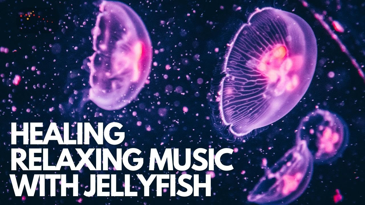 1 Hour of Relaxing "Jellyfish" Music | Soothing Sounds for Sleep ...