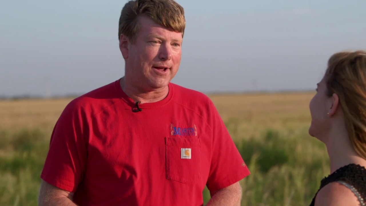 Feast TV: Martin Rice Co. - YouTube