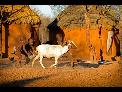 Big Zulu - Emakhaya ft. Blaq Diamond, Lwa Ndlunkulu, Mduduzi Ncube ...