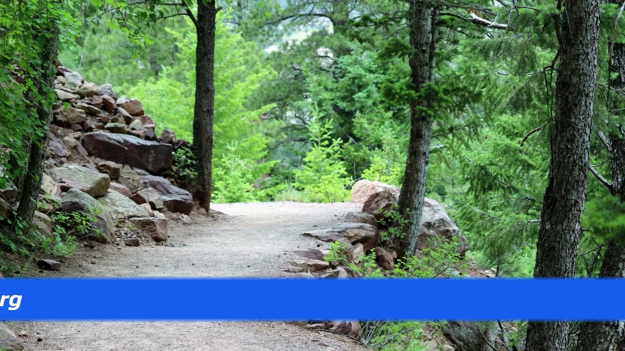 Walking in Your Kingdom Identity Co-laboring with Christ in His Mission ...