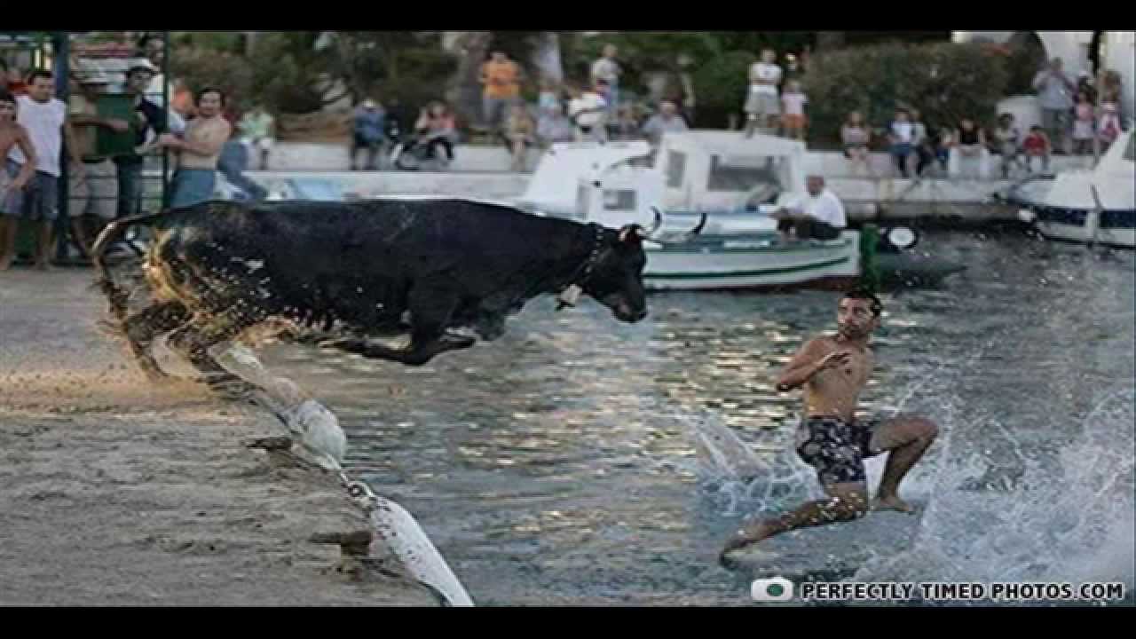 Most Perfectly Timed Photos EVER - YouTube