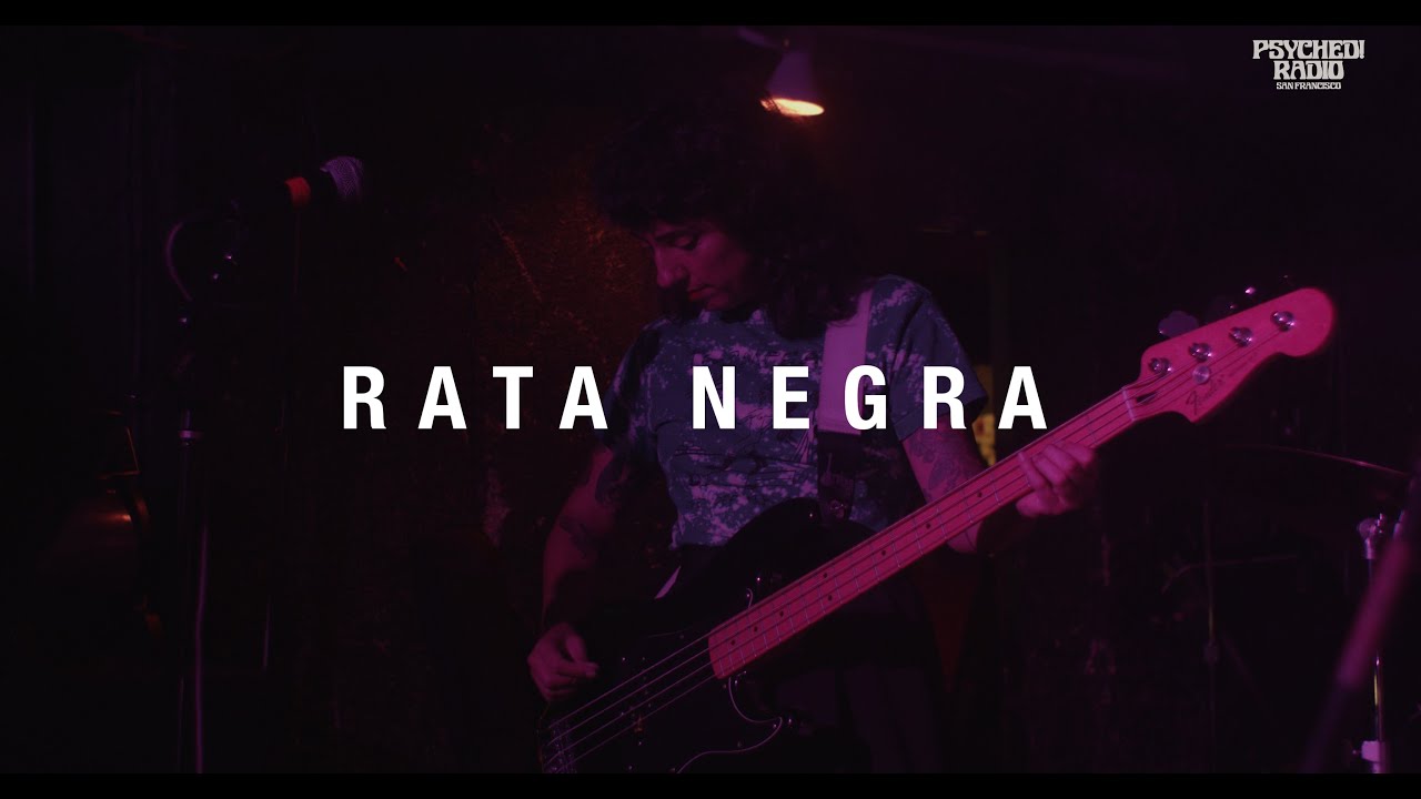 Rata Negra - Desconfia De Ese Chico. Live at The KnockOut - YouTube