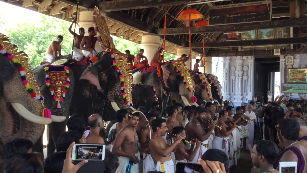 Koodalmanikyam Temple Utsavam 2016 ( Chembada Melam ) - YouTube