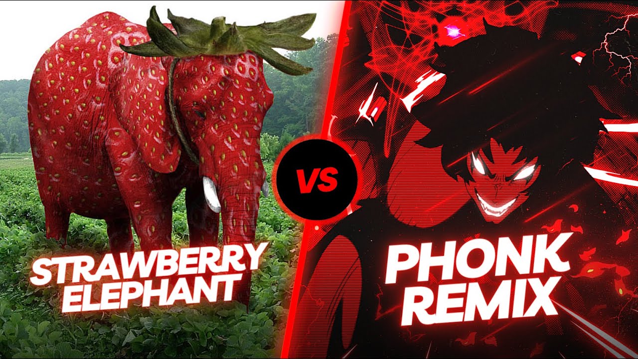 Strawberry Elephant (Phonk Remix) #phonk - YouTube