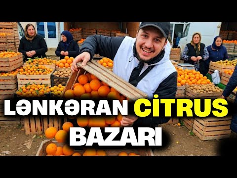 Lankaran Narenciye Pazarı 2025 🍊 Mandalina ve Portakal Fiyatları Lankaran Travel Vlog