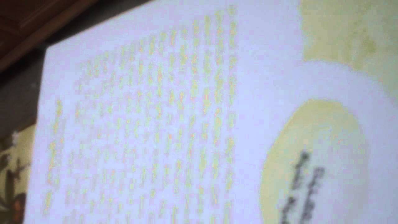 Pray for an Esrog, Tu B'shvat 5774, new hearts in Jerusalem, Living ...