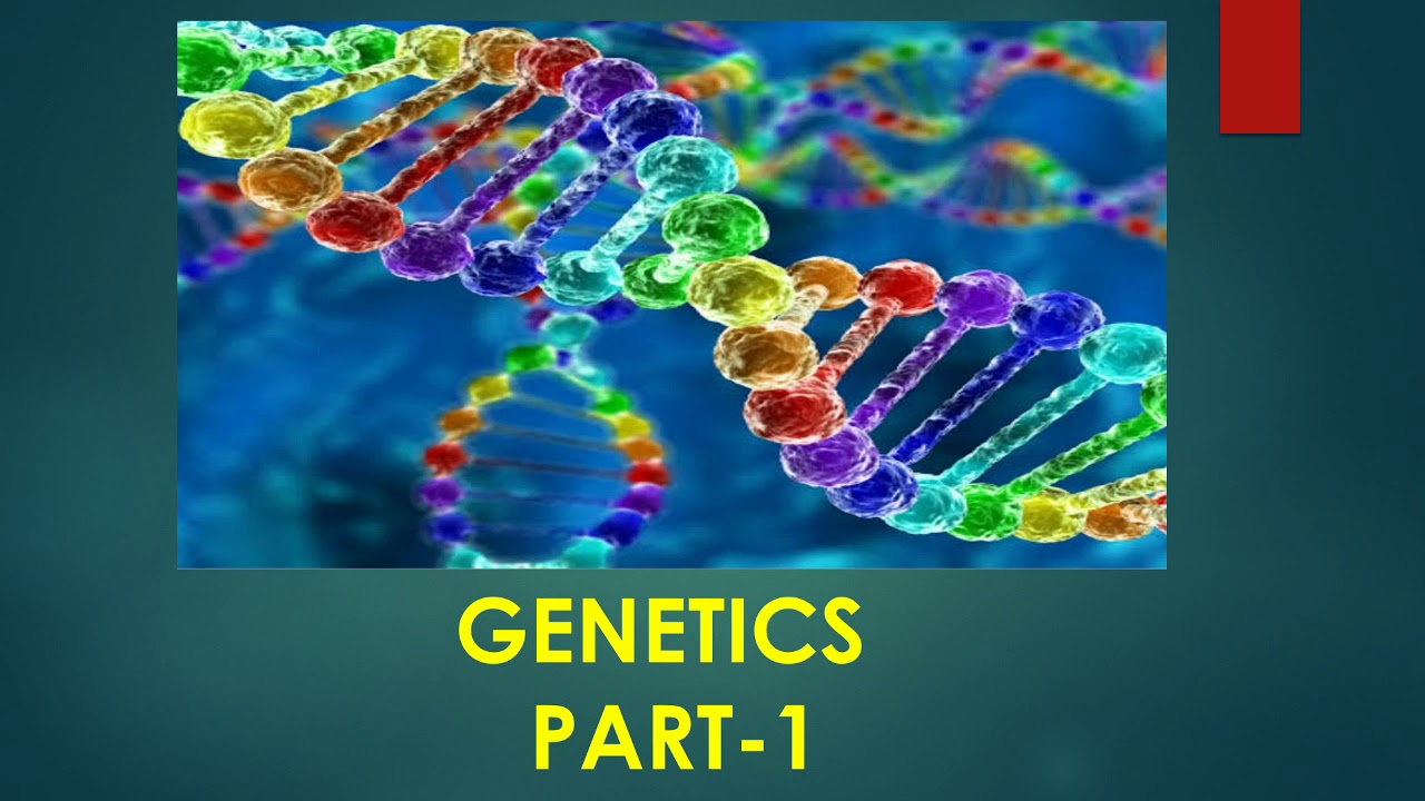 GENETICS-SOME BASIC FUNDAMENTALS||CLASS-10||ICSE, CBSE, WB BOARD||PART ...