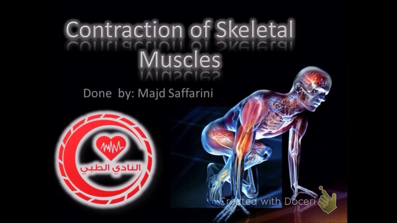 physiological anatomy of skeletal muscles - YouTube
